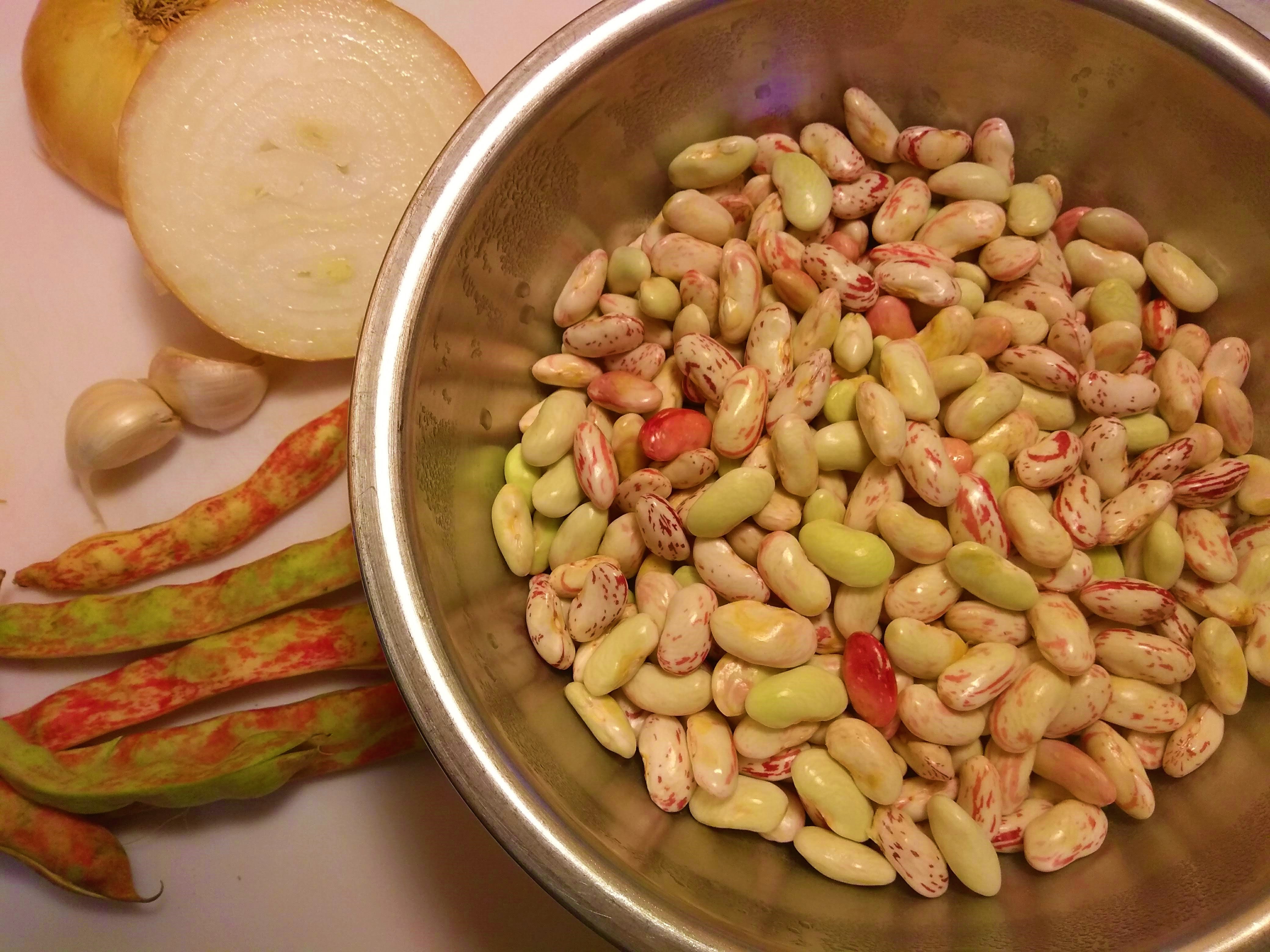 October Beans (in September) | Little Green Tomatoes